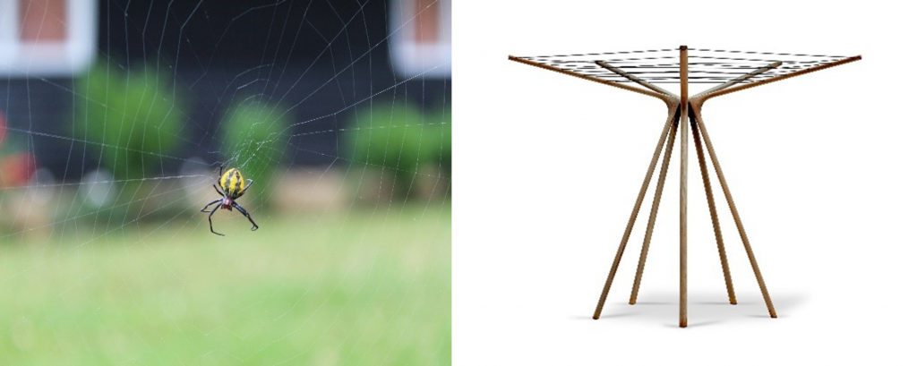 Exploring Biomimicry in Product Design: Nature-Inspired Innovation ...